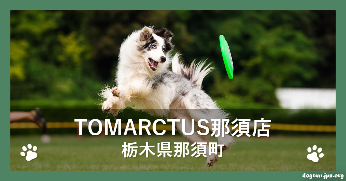 TOMARCTUS（トマークス）那須店（栃木県那須町） | 近くのドッグラン